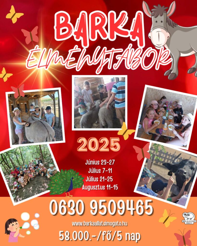 Gyerektábor 2024 - Élményekkel Teli Nyári Program Gyermekednek - Barka Állatsimogató